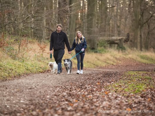 Winter Walkies Pass